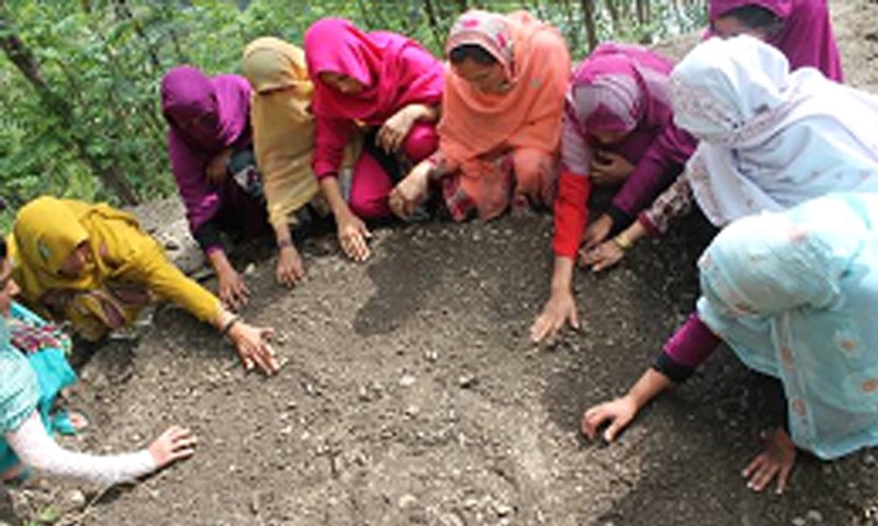 In Ayubia National Park: A story of women, leopards, and climate change ...
