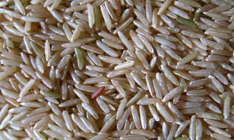 Plastic rice? Traders say there’s no such thing - Business - DAWN.COM