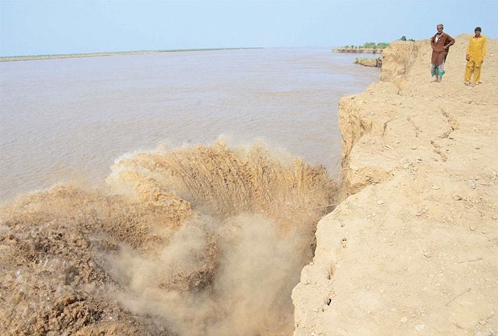 Rain brings back joy to drought-hit Tharis - Pakistan - DAWN.COM