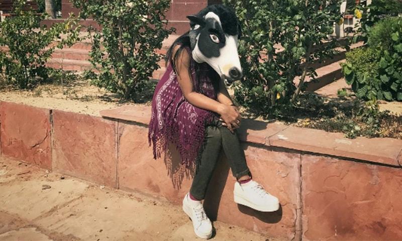 Indian women don cow masks to show they are less safe than cattle ...