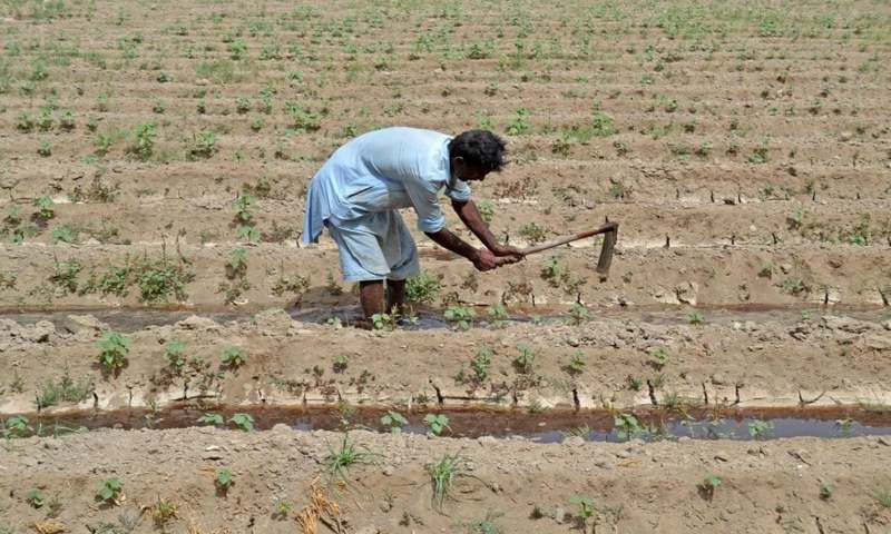 Why there is a shortage of irrigation water in Sindh - Herald