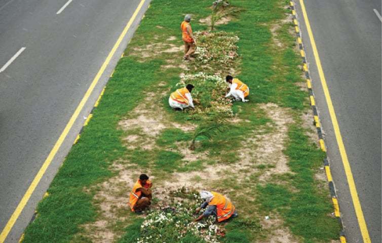 FIA begins investigation into alleged corruption in tree plantation ...