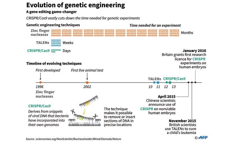 First diseased gene ‘edited’ in human embryos - Newspaper - DAWN.COM
