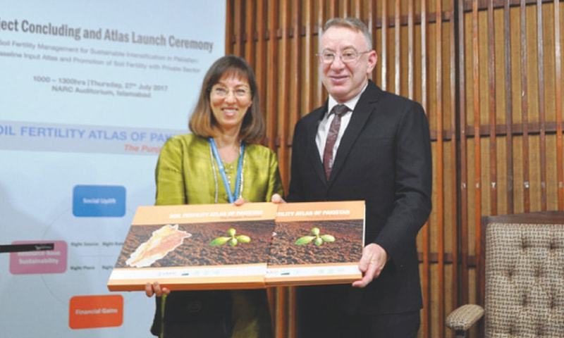 Inefficient fertiliser use damaging soil fertility in Punjab ...