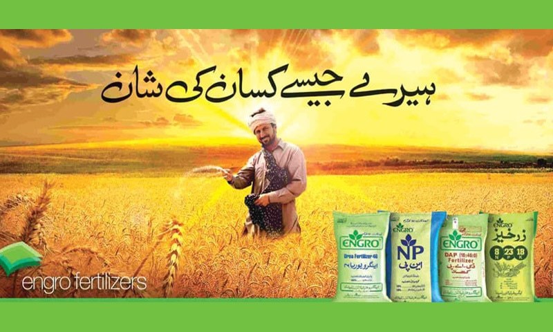 A farmer’s sparkle - Recent - Aurora