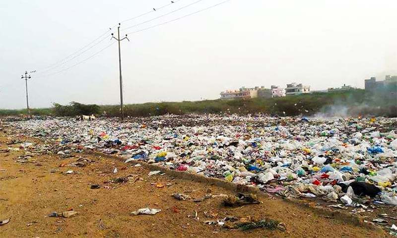 'Plastic-eating' fungus discovered in Islamabad garbage dump - Pakistan ...