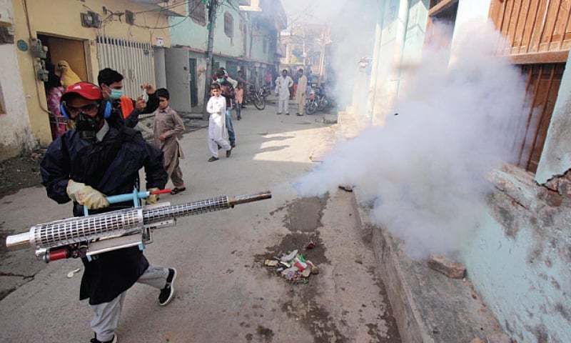 Eight booked after detection of dengue larvae in houses - Pakistan ...