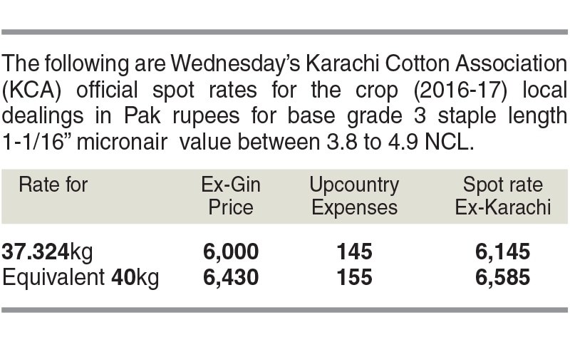 Cotton prices steady as orders flow in - Newspaper - DAWN.COM