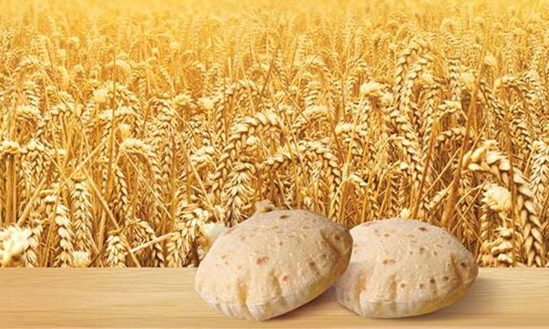 Sunridge launches into atta - Recent - Aurora