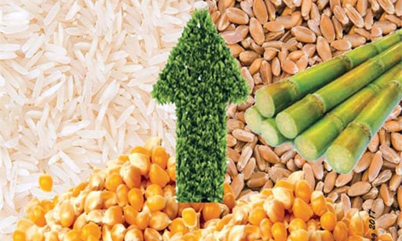 Sustaining production of key food crops - Newspaper - DAWN.COM