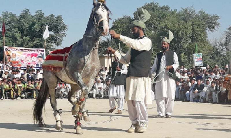 Sports gala begins in Lakki Marwat - Newspaper - DAWN.COM