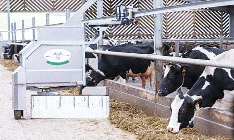 Qatar builds dairy industry in desert to ensure self-sufficiency in ...
