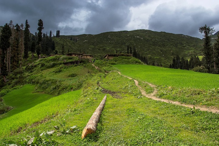 Trekking to Siran Valley is a dream come true for adventure junkies and ...