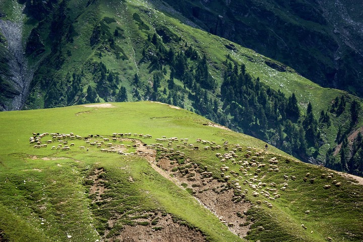 Trekking to Siran Valley is a dream come true for adventure junkies and ...