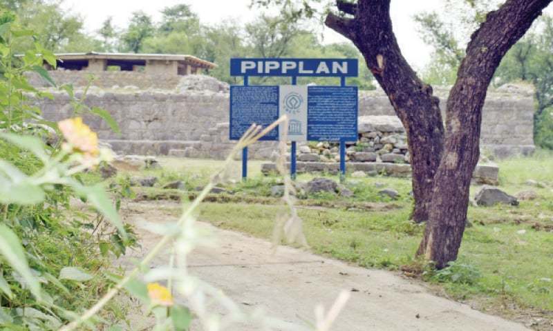 Piplan: a hidden jewel of ancient Taxila - Newspaper - DAWN.COM