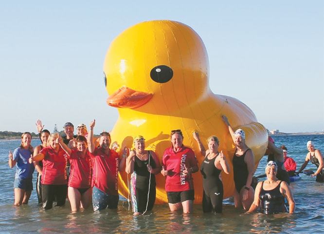 Giant yellow duck goes missing off Australia - Newspaper - DAWN.COM