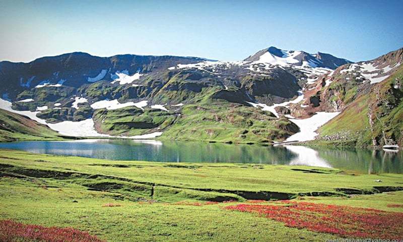 Nature: Spring in Kashmir - Newspaper - DAWN.COM