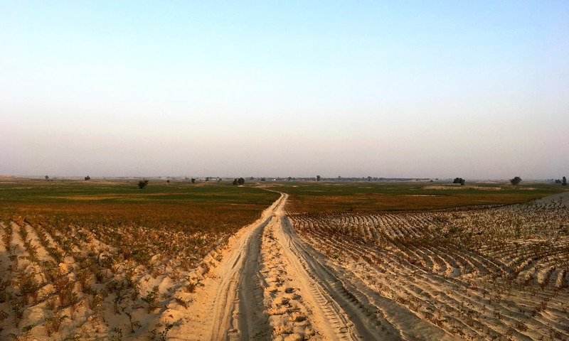 An odyssey in the Thal desert - DAWN.COM