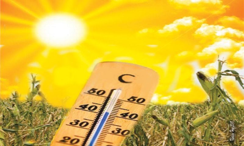 How heatwaves affect agriculture - Pakistan - DAWN.COM