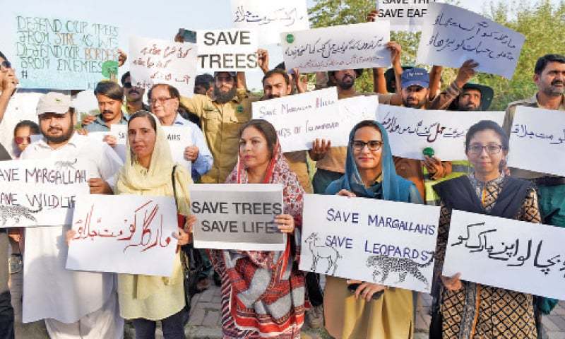 Decades needed to restore trees lost in fire: national park official ...