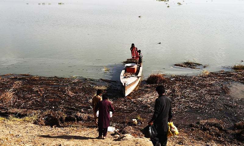 SC seeks report on Manchhar Lake within two weeks - Pakistan - DAWN.COM