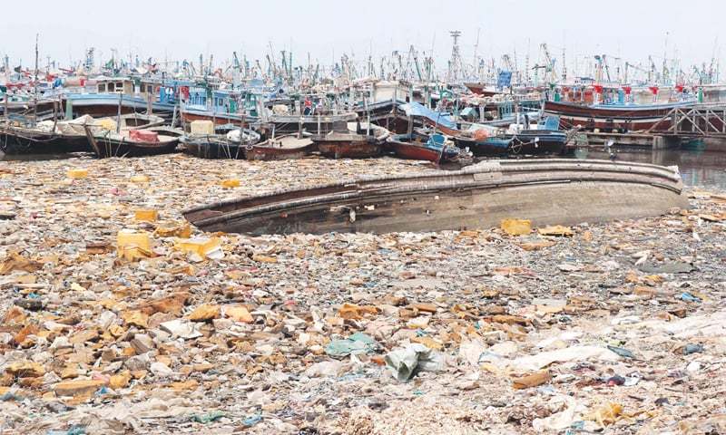 Judicial commission orders immediate cleaning of filthy fish harbours ...