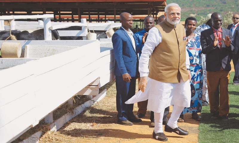 Modi dabbles in ‘Cattle diplomacy’, donates 200 cows to Rwanda ...