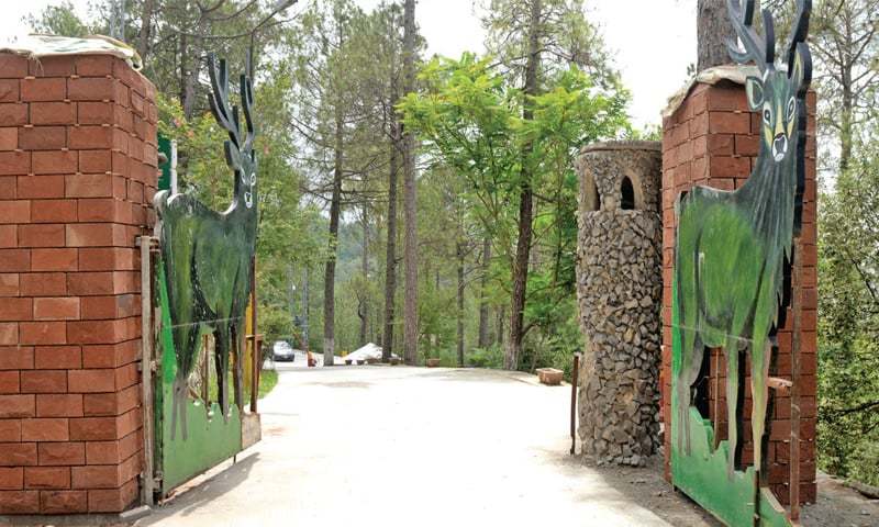 The seldom remembered expansive, scenic zoo in Murree - Pakistan - DAWN.COM