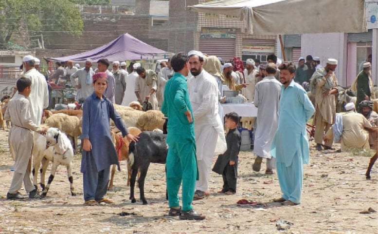 Swatis complain about shortage of animals at official market ...