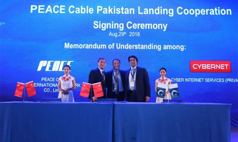 Cybernet and PEACE Cable to bring 'ultra-high capacity cable' to ...