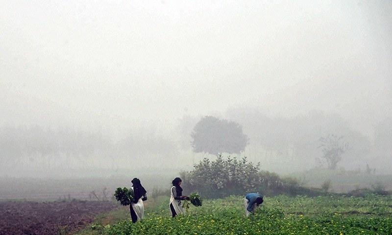 Punjab braces for smog control - Pakistan - DAWN.COM