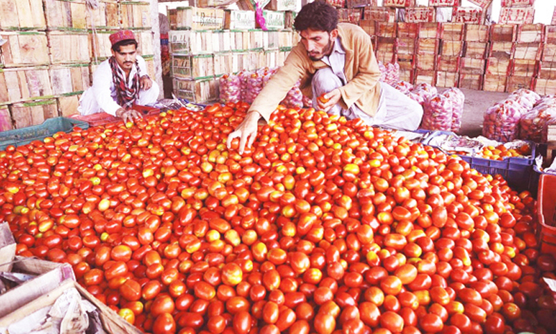Indian tomatoes seized in Lahore - Pakistan - DAWN.COM