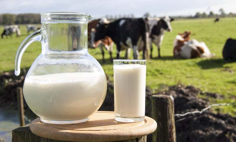 7 ways Dayfresh keeps its 'real promise of real milk' - Sponsored ...