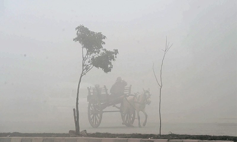 Thick fog blankets Punjab cities - Pakistan - DAWN.COM