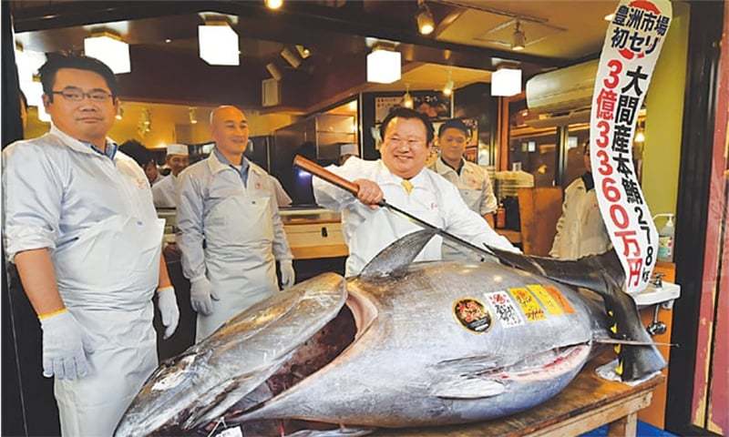 Tuna sells for record $3.1 million in Japan - World - DAWN.COM