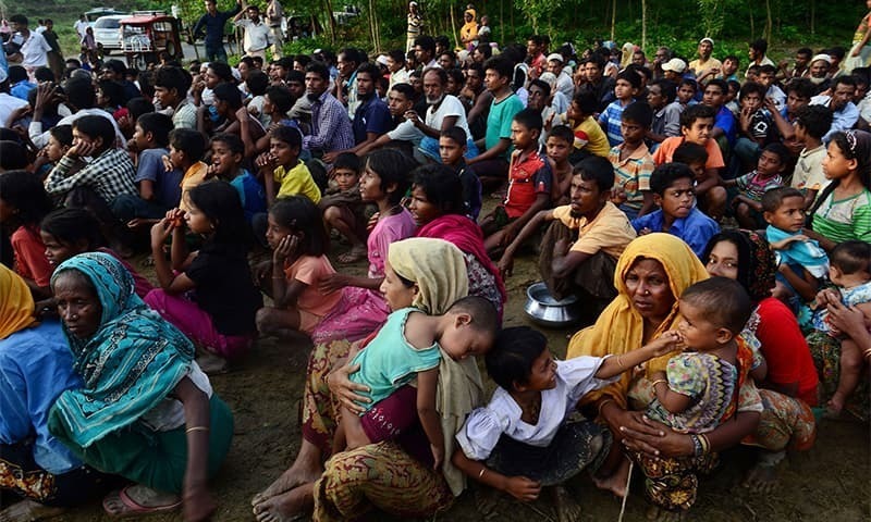 Rohingya fleeing India to avoid deportation - World - DAWN.COM