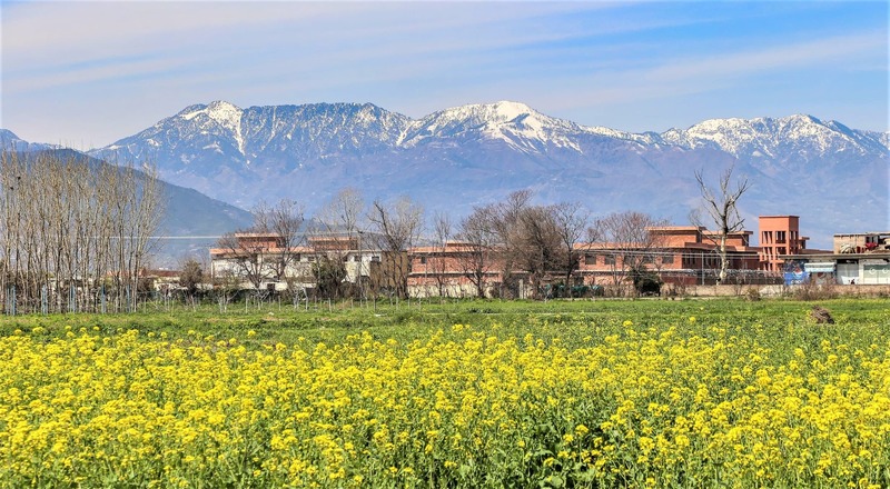 In pictures: Spring in Swat valley is a sight for sore eyes - Pakistan ...