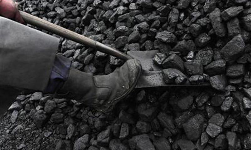 Pakistan, three other countries got highest G20 coal subsidies - World ...