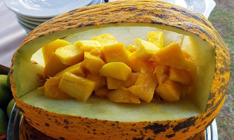 In pictures: Turkey gets a taste of the world-famous Pakistani mangoes ...