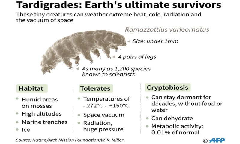 Earth’s toughest creatures may be living on Moon - World - DAWN.COM