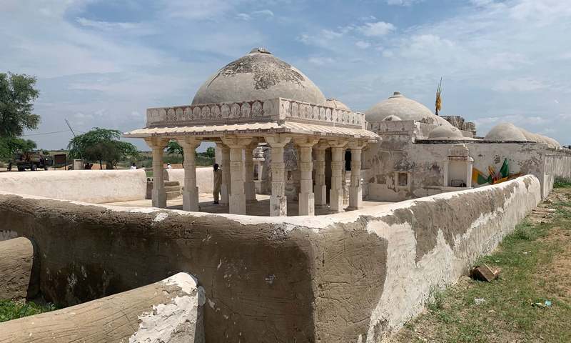 تھر کے صحرا میں ہریالی - Pakistan - Dawn News