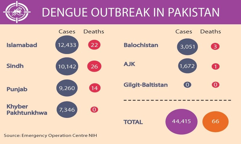 Dengue outbreak sets new record in Pakistan - Pakistan - DAWN.COM