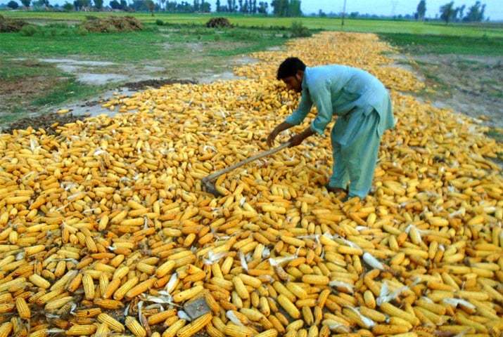 ADB $2.5m grant to improve farm sector productivity - Newspaper - DAWN.COM