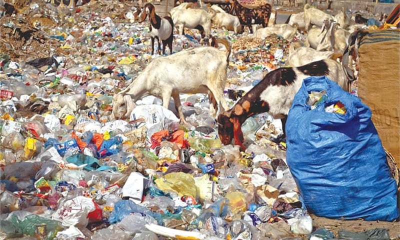 Monitoring of borders ordered to curb transport of plastic bags into ...