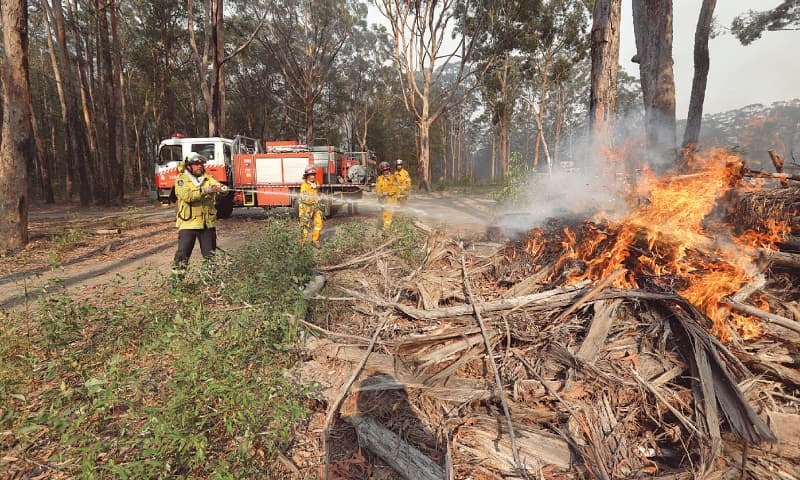 Renewed fire threat sparks exodus to Australian cities - Newspaper ...