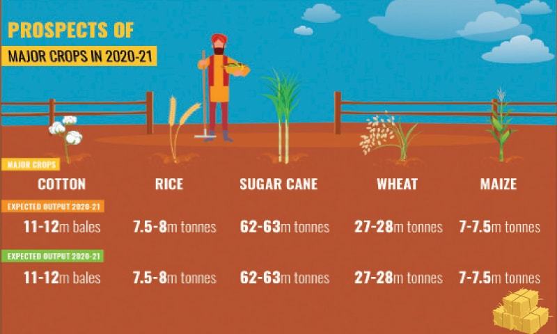 Enormous challenges facing agriculture sector - Newspaper - DAWN.COM