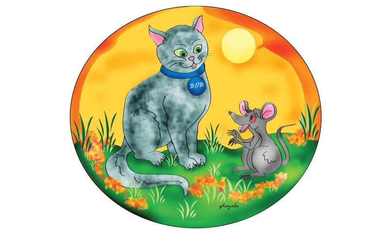 Story Time: The foolish cat - Newspaper - DAWN.COM