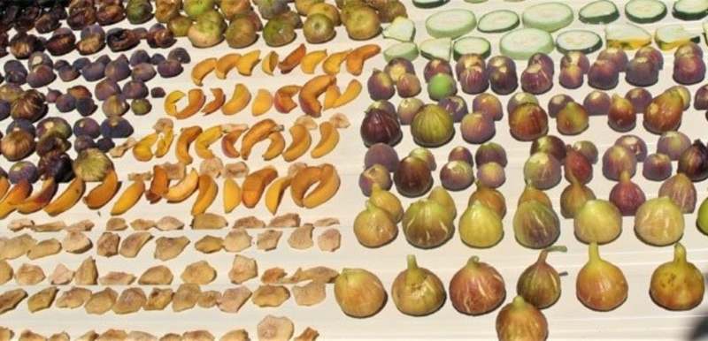 A handy guide to making dried fruit at home - Local - Images