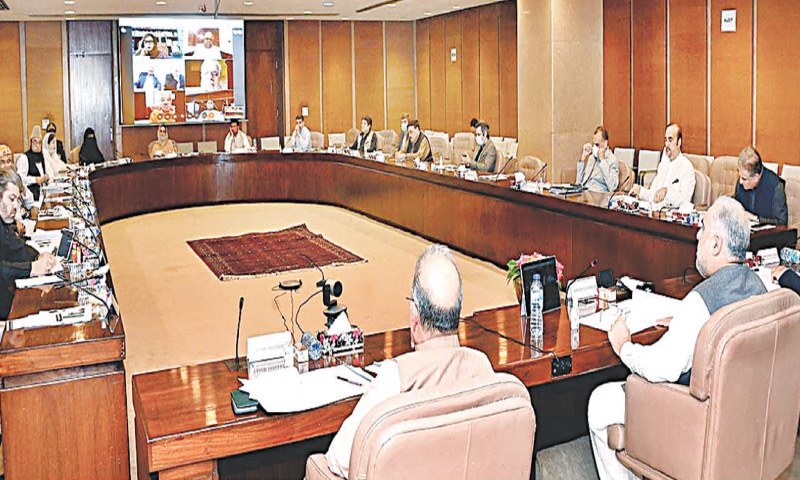 Opposition slams govt over creation of ‘Tiger Force’ - Pakistan - DAWN.COM