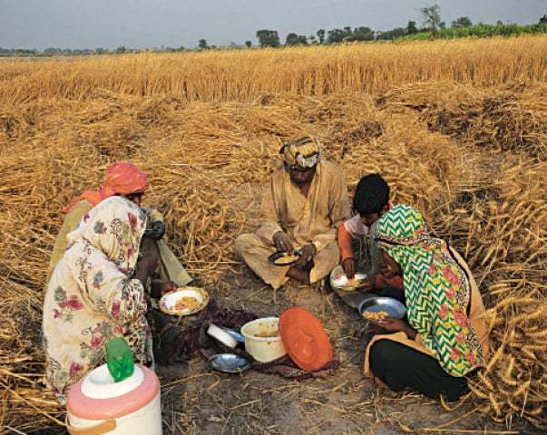 Rural poor hit by virus-induced financial crunch - Newspaper - DAWN.COM